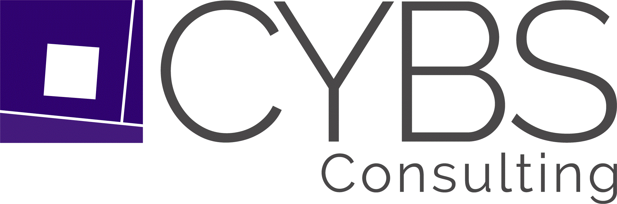 CYBS Consulting | Panamcham
