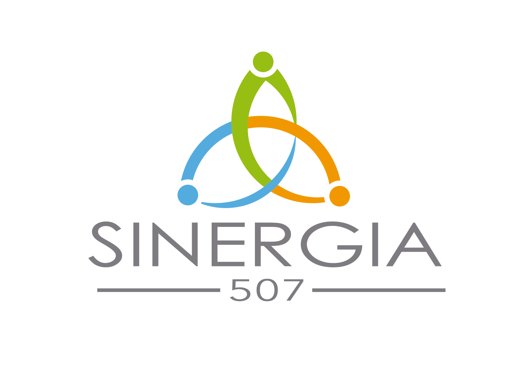 Sinergia507 | Panamcham
